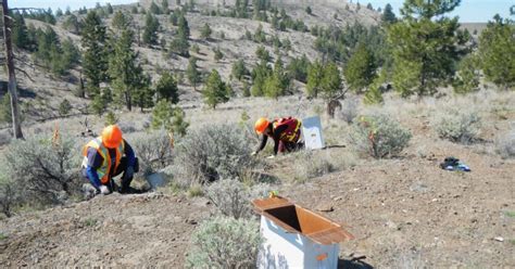 Trans Mountain What You Need To Know Cryptogamic Crust Salvage