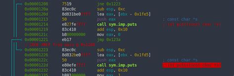 radare2 radare2 doesn t display string value reverse engineering