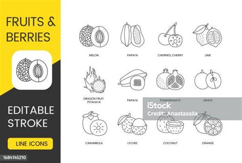 과일과 열매 전체 및 얇게 썬 벡터 라인 아이콘 세트 편집 가능한 스트로크 오렌지와 코코넛 리치와 카람볼라 포도와 석류 파파야와