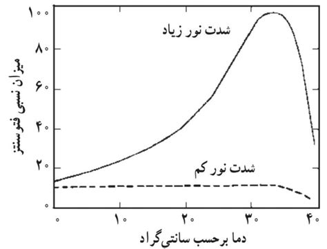 متابولیسم؛ فتوسنتز و تنفس آینده نگاران مغز