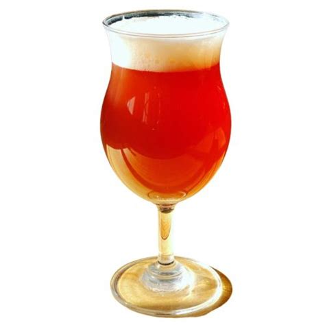Raspberry Wheat Beer Recipe Beer Is My Life