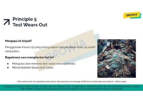 21principles Of Testing 7 Pdf