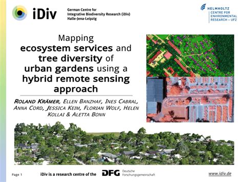 Pdf Mapping Ecosystem Services And Tree Diversity Of Urban Gardens