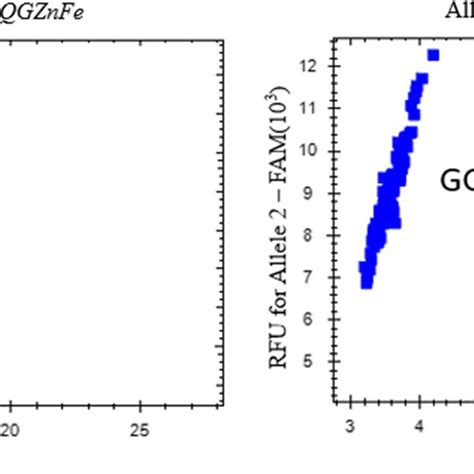 Genotyping Of Kasp Molecular Marker In The Germplasm Download Scientific Diagram