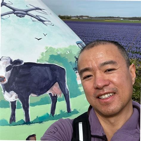 Wind Conditions Modelling Windmills Tech