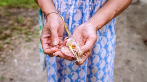 Embracing Life As Decision Making Compass