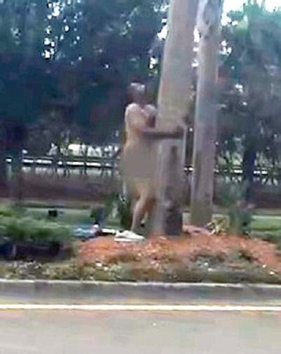 Shameful See Man Caught Having S X With Tree In Broad Daylight Photos Video