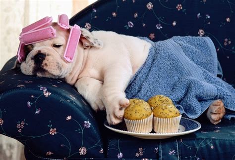 Lazy Moms Day With Peggy Bundy Oxygen Ie