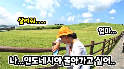 인도네시아 소녀가 제주도 여행 중 돌아가고 싶다고 하는 이유ft 제주도 물가흠 Youtube