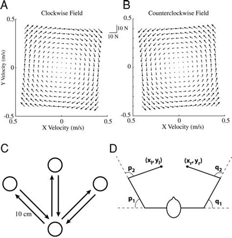 Target Layout And Velocity Dependent Curl Fields A Forces Exerted By Download Scientific