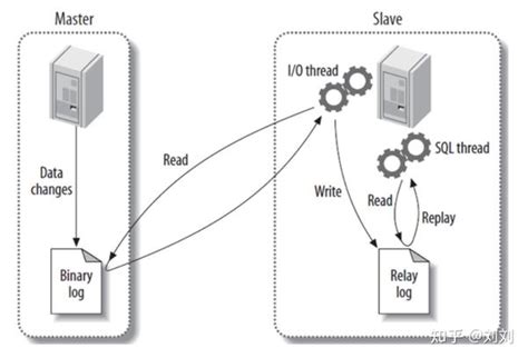 Mysql 80 半同步复制详解 知乎