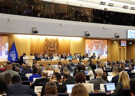 “its Complicated” Imos Path To Decarbonisation