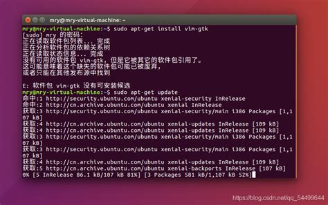 安装vim时遇到的问题vim下载暂时不能解析域名 Csdn博客