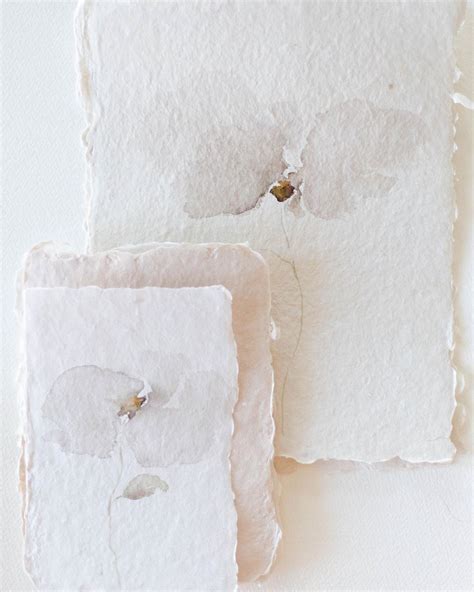 Amanda Custer Fine Artist On Instagram “sitting Outside In The Sun