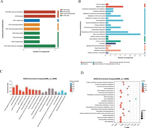 Multi Omics Analyses Of Gut Microbiota Via 16s Rrna Gene Sequencing Lc