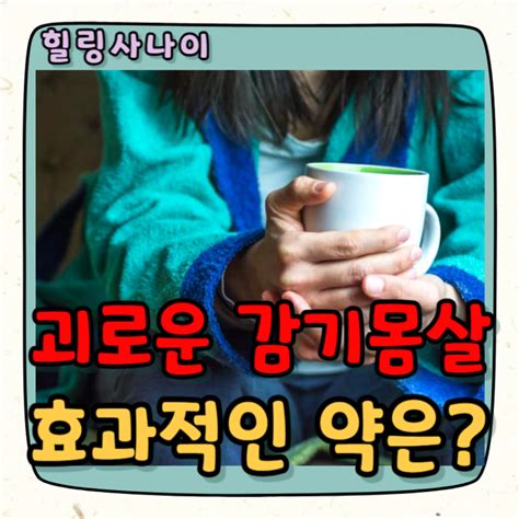 몸살 증상 및 감기몸살 오한 근육통 열날 때 약 네이버 블로그