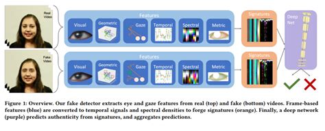 Where Do Deep Fakes Look Synthetic Face Detection Via Gaze Tracking