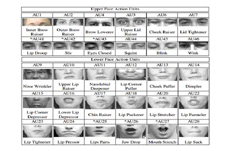 Facial Action Units For Upper And Lower Part Of The Face [10] Download Scientific Diagram