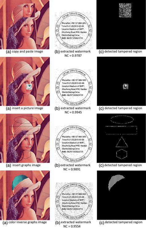 Watermark Attacking And Detecting Download Scientific Diagram