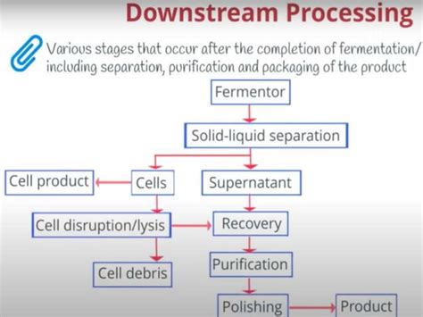 Bioprocess And Fermentation Technology Pdf Biological Sciences Science