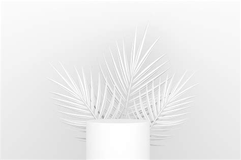 기하학적 모양의 3d 렌더링 스튜디오 바닥에 연단 제품 프레젠테이션을 위한 플랫폼 배경 모의 최소한의 디자인의 추상적 구성 열대 야자수 잎 종려나무 잎에 대한 스톡 사진 및