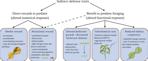 A Categorisation Tree Of Indirect Defences Based On The Nature Of Plant Download Scientific