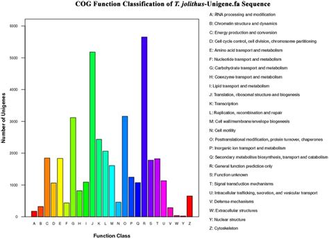 Clusters Of Orthologous Groups Cog Functional Classification In