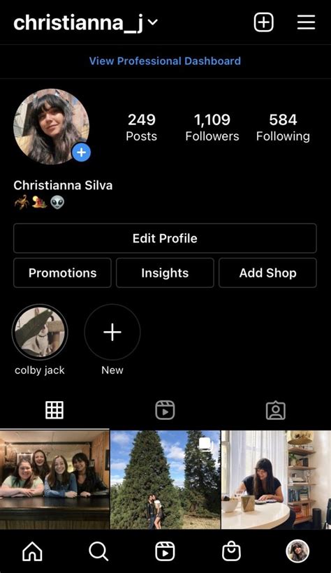 How To Add Your Pronouns To Your Instagram Profile Mashable