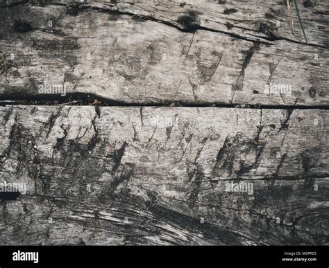 Natural Wood Background Texture Grey Dark Natural Tree With Green Grass Stock Photo Alamy