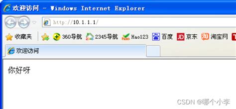 iis之web服务器的安装、部署以及使用教程（图文详细版） iis web文件服务器 csdn博客