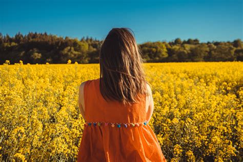 무료 이미지 유채 People in nature 노랑 캐놀라 들 겨자 공장 머스타드 하늘 목초지 봄 여름 겨자 및 양배추 가족 브라 시카 라파