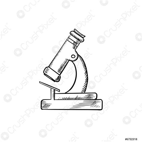 Laboratory Optical Microscope Icon Sketch Stock Vector 6732318 Crushpixel
