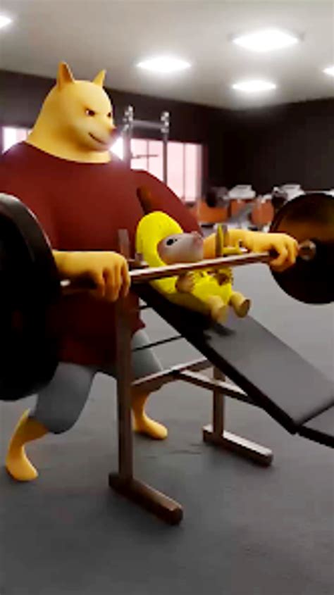 Banana Cat Crying Cat Meme For Android Download