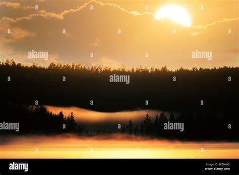 Water Surface Ground Level Fog Over The Lake Ice And Coniferous