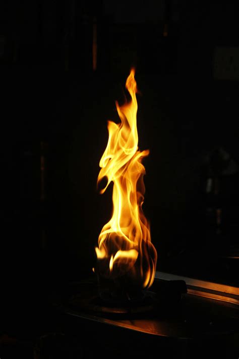 가벼운 강렬함 관념적인 노 노란 불길 다이나믹한 따뜻함 뜨거운 매혹적인 불 맹렬한 모닥불 무더위 불 불 같은 불 빛 불꽃 불꽃 예술 불꽃 패턴