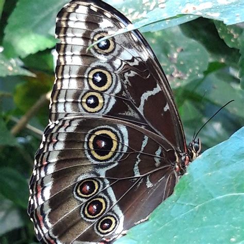 جملات آموزنده و پند آموز Home