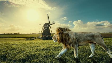 combine two photos in adobe photoshop wacom