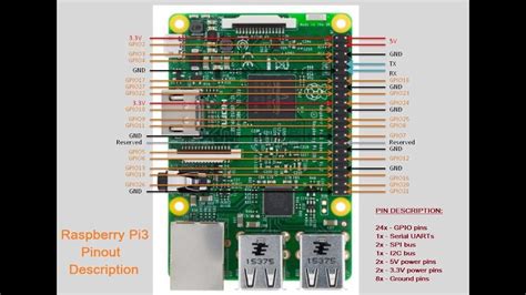 Pinout Guide For Raspberry Pi 3 B Plus Detailed Pin Configuration
