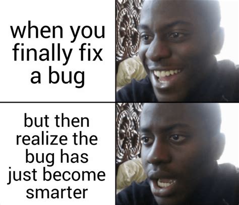 When You Finally Fix A Bug Programmerhumor