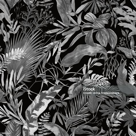 이국적인 잎이 있는 열대 매끄러운 패턴 흑백 색상의 수채화로 칠해진 꽃 벽지 0명에 대한 스톡 벡터 아트 및 기타 이미지 0명 관목 꽃무늬 Istock