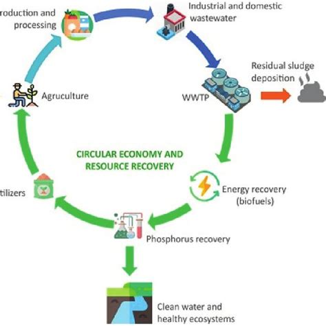 Phosphorus Production Consumption And Recycling Pathways [13] The Download Scientific