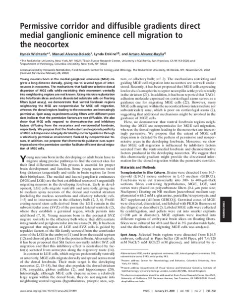 Pdf Permissive Corridor And Diffusible Gradients Direct Medial Ganglionic Eminence Cell