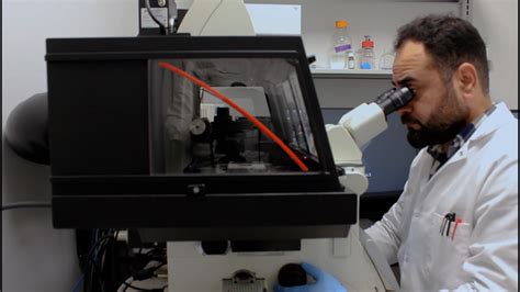 Video Determining Ciliary Function And Membrane Impermeability Of The