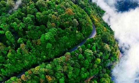 زندگی جالب خانواده جنگل‌نشین در شمال ویدئو