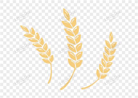 밀의 황금 귀 Png 일러스트 무료 다운로드 Lovepik