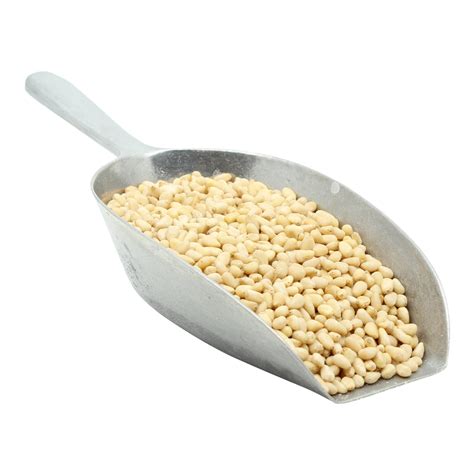 Pine Nuts Konrads Specialty Foods And Ingredients