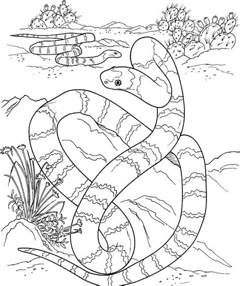 Burmese Python Coloring Page At Free Printable