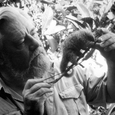 ⭐️ Share Your Memories Of Gerald Durrell With Us ⭐️ 💚 Wed Love To Hear Your Stories And Share