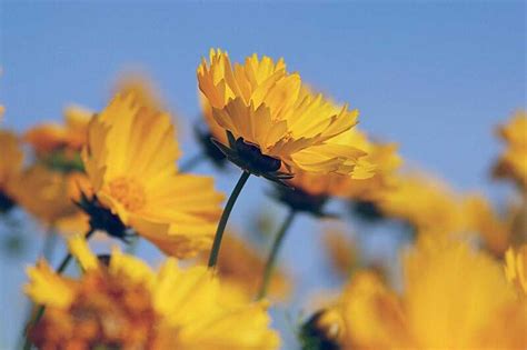 Sfondi Desktop Sfondi Salvaschermo Gratis Salvaschermo Desktop Sexy Sfondi Sexy Desktop