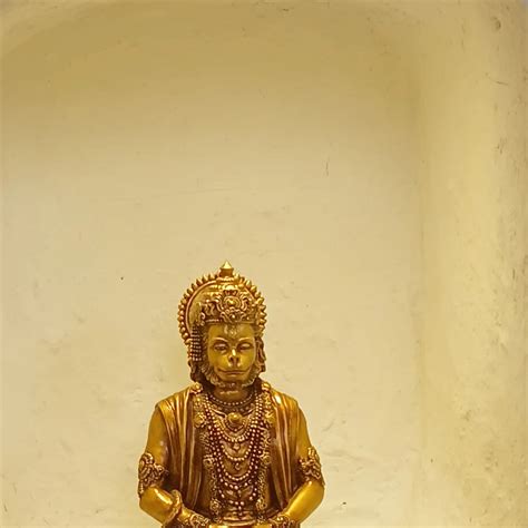 dr tamanna c lately blessed grateful instagram